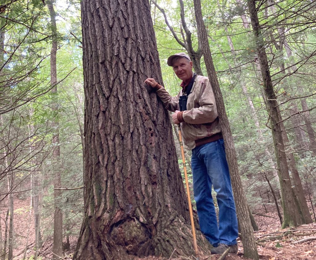 Manada Conservancy and the Fritchey Family Preserve Woodland Habitat ...