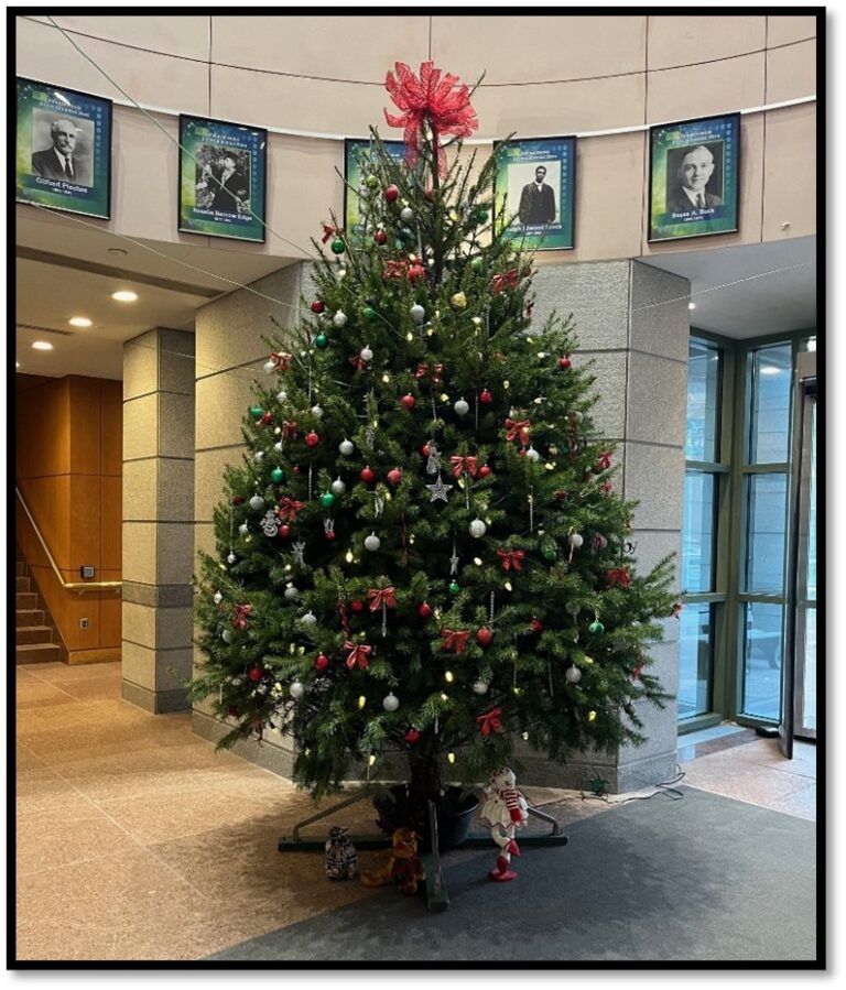 O Christmas Tree | WeConservePA